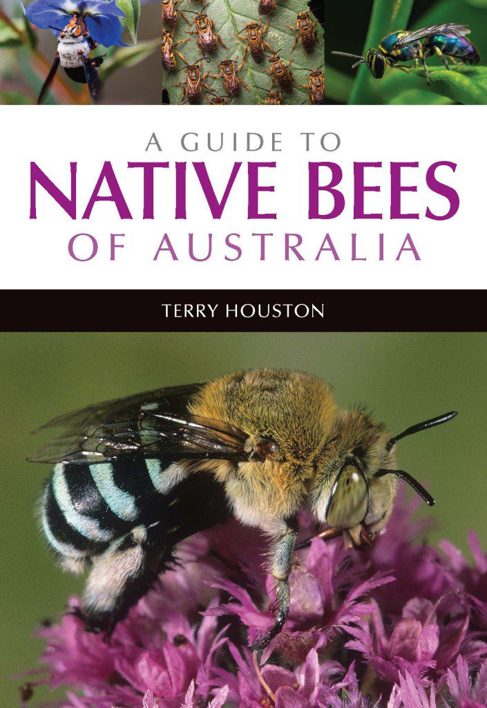 SOLD OUT - A GUIDE TO NATIVE BEES OF AUSTRALIA BOOK LAUNCH - Cathedral ...