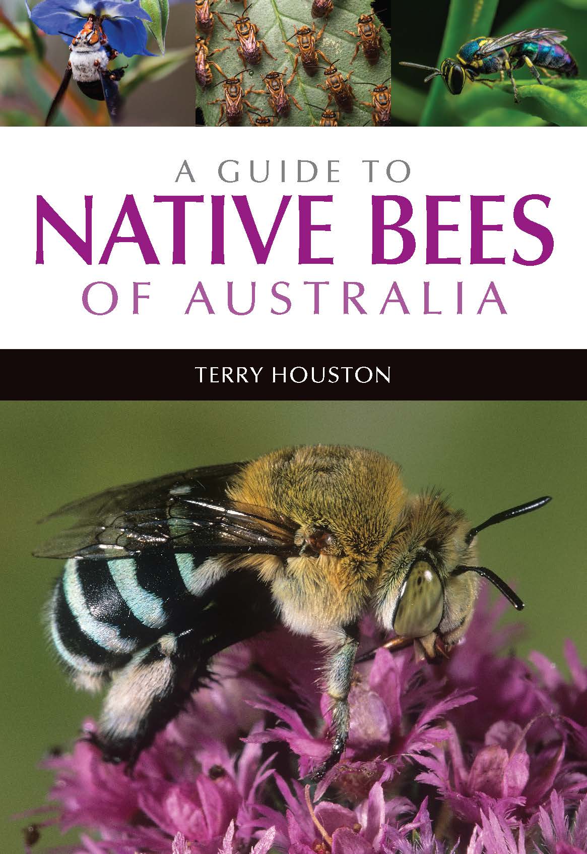 SOLD OUT - A GUIDE TO NATIVE BEES OF AUSTRALIA BOOK LAUNCH - Cathedral ...